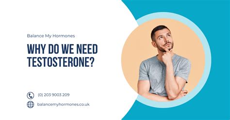 Why Do We Need Testosterone Balance My Hormones