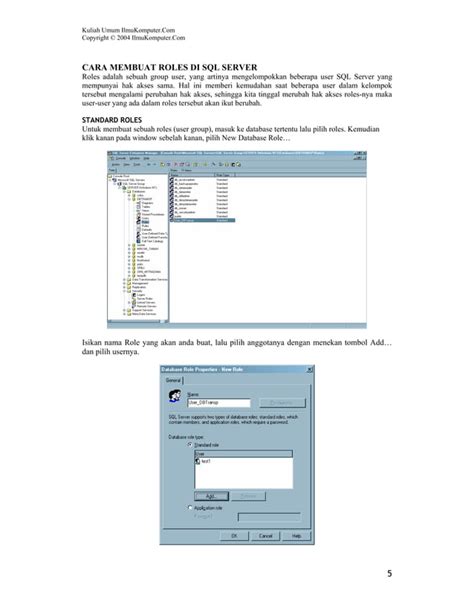 Sql Server Security Pdf