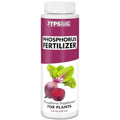 7 Best Phosphorus Fertilizers For Good Plant Growth