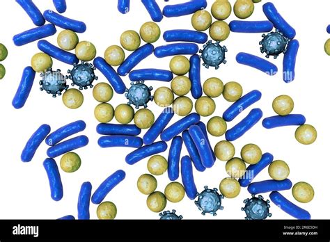 Bacteria And Viruses Of Different Shapes Computer Illustration Stock