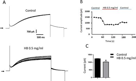 Currents Recorded On Hek 293 Iks Cells By Imposing The Stimulation
