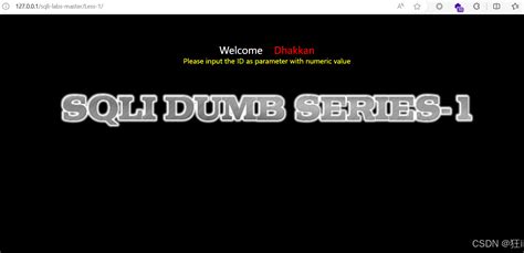 Sql Labs 全关通关教程sqlibs通关 Csdn博客 Sql Labs 全关通关教程sqlibs通关 Csdn博客