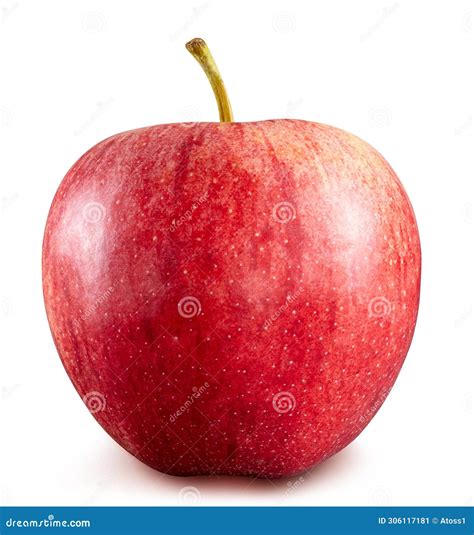 One Red Apple Isolated On White Stock Illustration Illustration Of