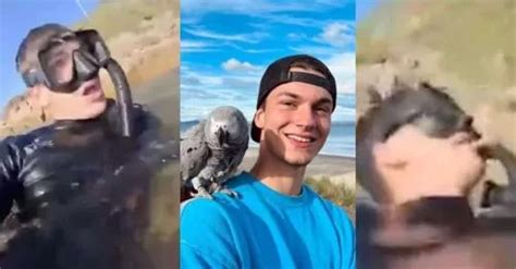 Ragazzo 20enne Di Parma Attaccato Da Uno Squalo Fa Un Video Mentre Gli