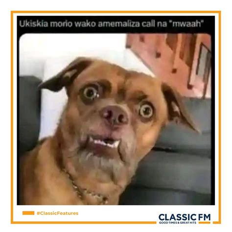 😂 😂harusi Tunayo😂 Classic 105 Kenya Facebook