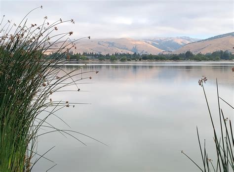 5 Takes On Lake Elizabeth Fremont Ca Patch