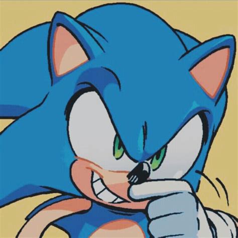 Sonic The Hedgehog Sonic The Hedgehog Comic Idw Hedgehog Art Sonic