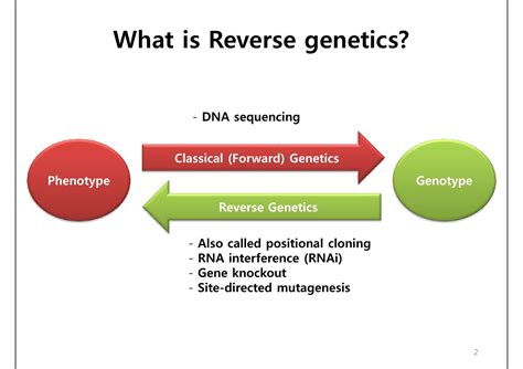 Reverse Genetics 기술 특허동향과 앞으로의 전략