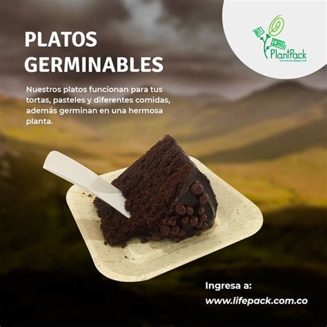 Grupoexito Empaquesgerminables Platos Vajillas Biodegradable