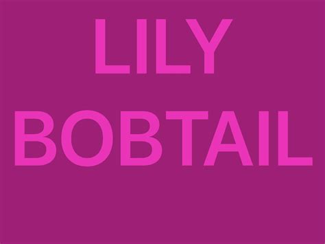 Lily Bobtail Lily Bobtail Nick Jr Tv Series