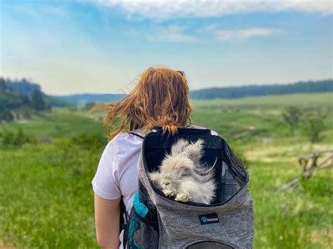 Bun Enjoying The Wind In Her Mane This Summer Reyebleach