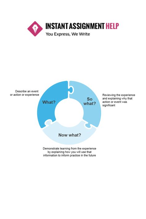 Know All About Driscoll Reflective Model Lilysmith Medium