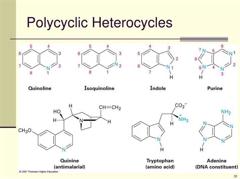 Ppt Chapter 24 Amines And Heterocycles Powerpoint Presentation Free
