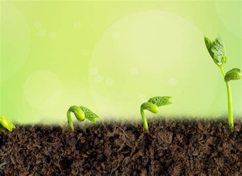 製品情報 株式会社ミヤコシ