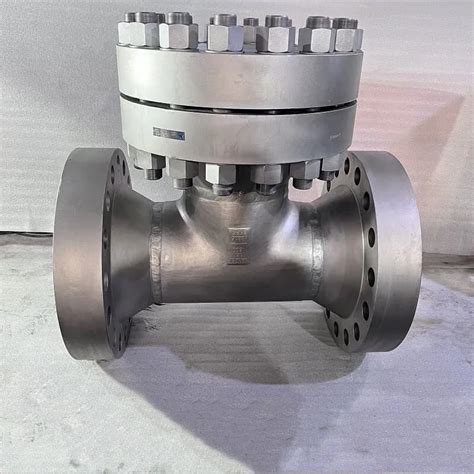 16 Inch Strainer Landee