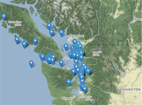 Atlantic Salmon In Washington State Whatcom Watch Online