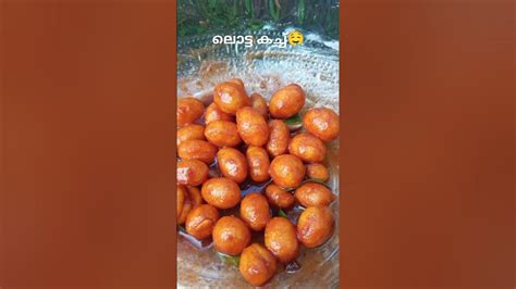 Lotta Kach🤤shortsfoodkannurspecialkannurfoodshortsfeedhomemade