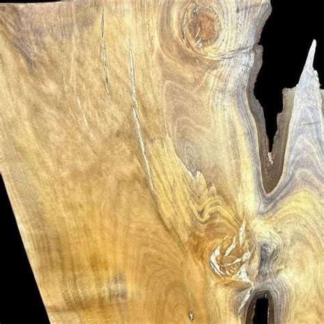 Tree Slab Etsy