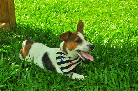 Dsc3981 宏瑋 徐 Flickr