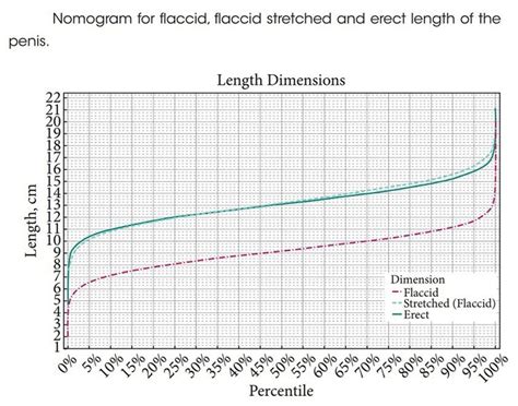Scientists Measure 15000 Erect Penises Determine Average Size