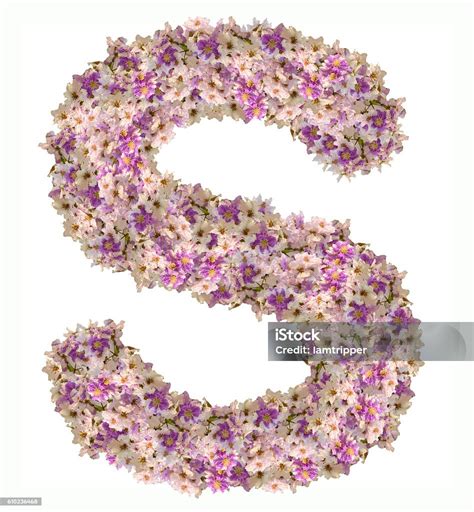 Alfabet Letter S Dengan Tipe Konsep Abc Bunga Sebagai Logo Foto Stok