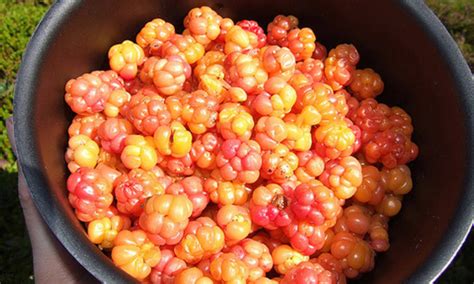 Orange Spiky Fruit With Red Inside