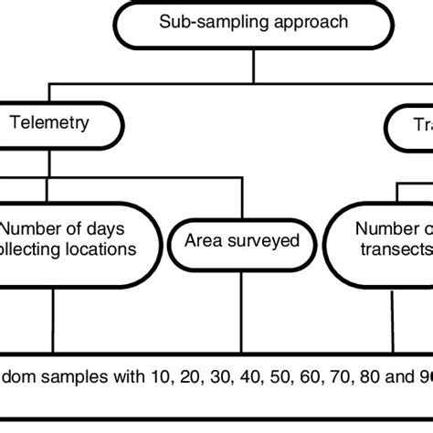 Diagram Of The Sub Sampling Approach Download Scientific Diagram