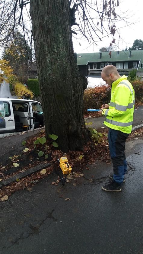 Soil Gas Analysis Treespace