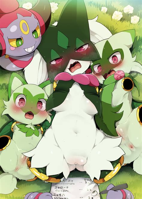 Dagasi Floragato Hoopa Hoopa Confined Meowscarada Sprigatito Nintendo Pokemon