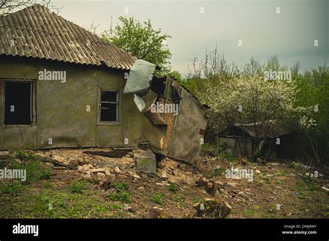 Dilapidated Rural Cottage On A Cloudy Day With Overgrown Vegetation Abandoned House Falling
