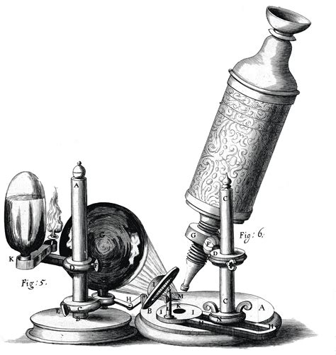 De Linvention Du Microscope à La Théorie Cellulaire Lelivrescolairefr
