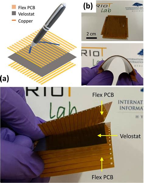 2 A Schematic Illustration Of The Sensor System Designed By Download Scientific Diagram