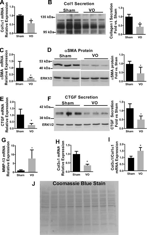 Figure 1 From Research Integrative Cardiovascular Physiology And