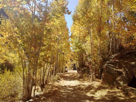 فراموش شده گان