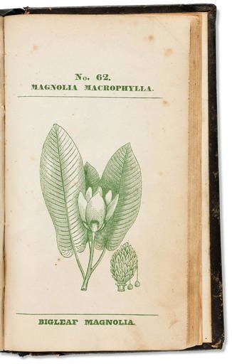 Rafinesque Constantine Samuel 1783 1840 Medical