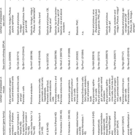 Sea Urchin Digestive System Formation Ac Morphogenesis Of The Sea Download Scientific