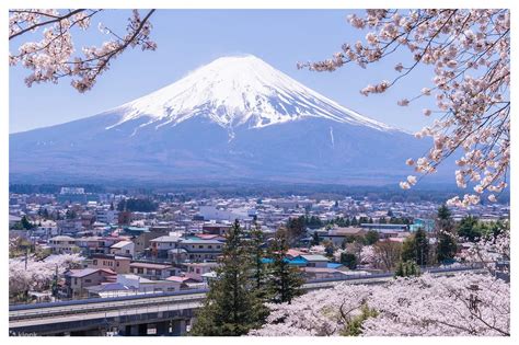 Mount Fuji Panoramic Day Tour Mount Fuji World Heritage Centre Lake