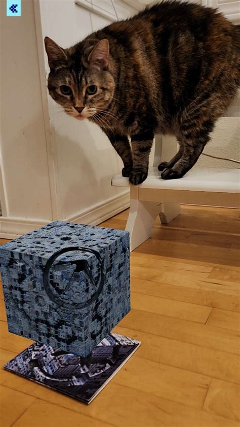 My Cat Opened The Blackbox Life Recorder R Aphextwin