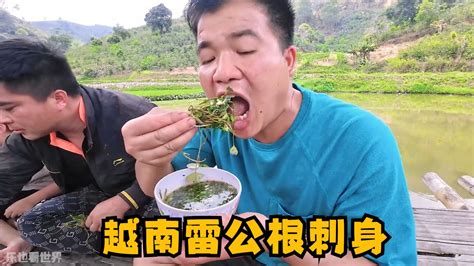 越南老表户外野炊，制作雷公根刺身 乐也看世界 乐也看世界 哔哩哔哩视频