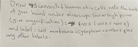 Draw 3 Connected Human Skin Cells Onto The Back Of