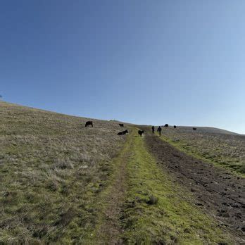 Garin And Dry Creek Pioneer Regional Parks Updated May 2026 1264