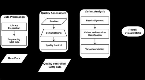 Workflow Of Ngs Data Ananlysis Download Scientific Diagram