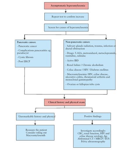 Reasons For Increased Lipase At Jaime Cardenas Blog