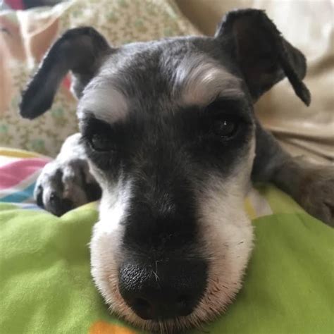 Cissy Wong Cissywong On Threads