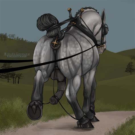 Rule 34 Anal Anal Sex Animal Genitalia Animal Penis Balls Big Balls