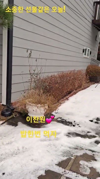 소중한 선물 같은 오늘♡ 이찬원 밥한번 먹자 👍💕🙏 Youtube