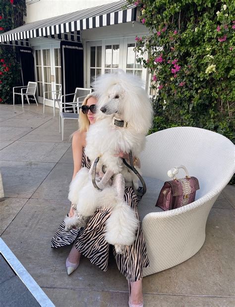 Allysa Payne Beverly Hills