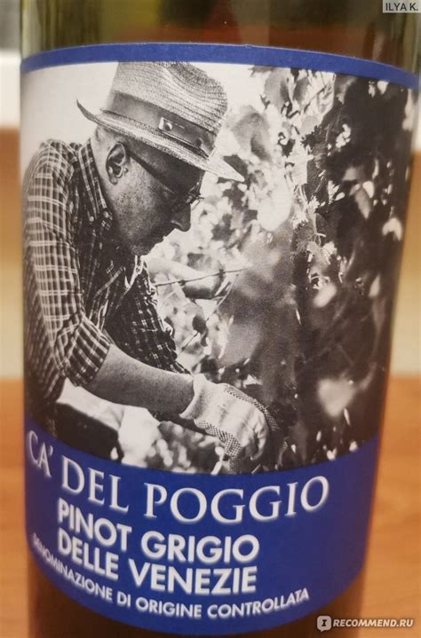 Вино белое сухое Ca'Del Poggio Pinot Grigio - «Ментоловое Пино Гриджио ...
