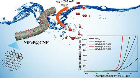 Applied Organometallic Chemistry Vol 37 No 12
