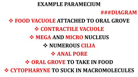 Biology Power Point Notes Topic Classification 2 By Martin Otundo